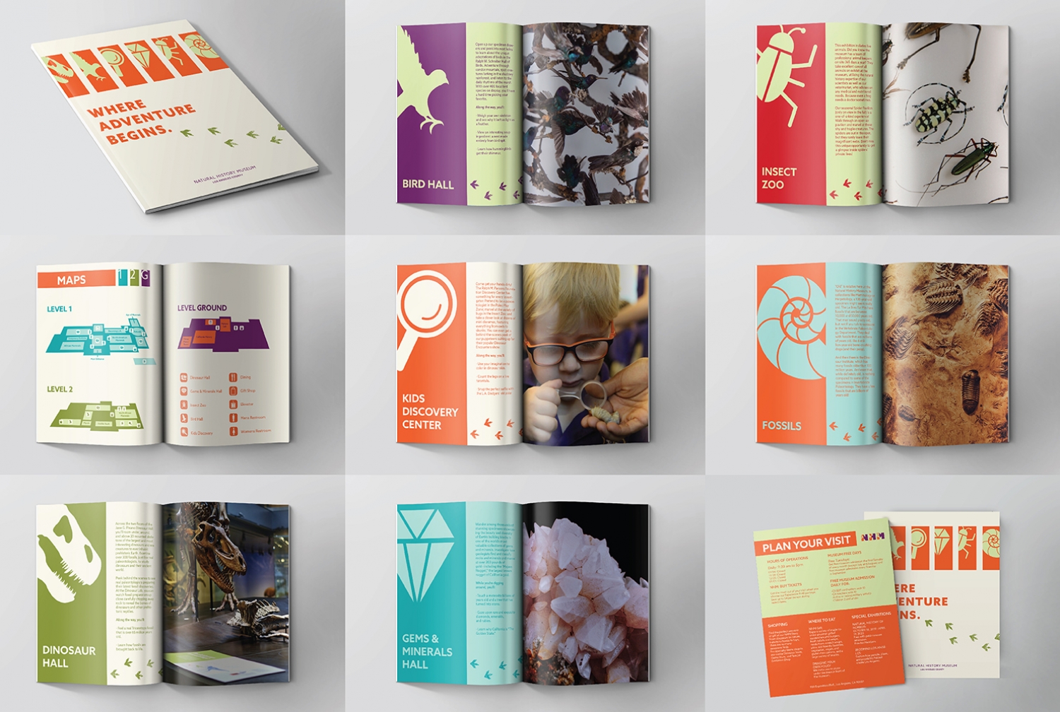 Flux 2024 Student Design Competition // AIGA Baltimore // Past Winners